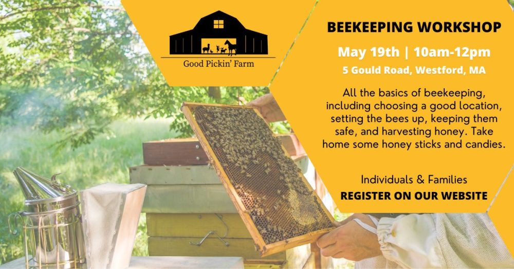 Beekeeping Workshop - WestfordCAT