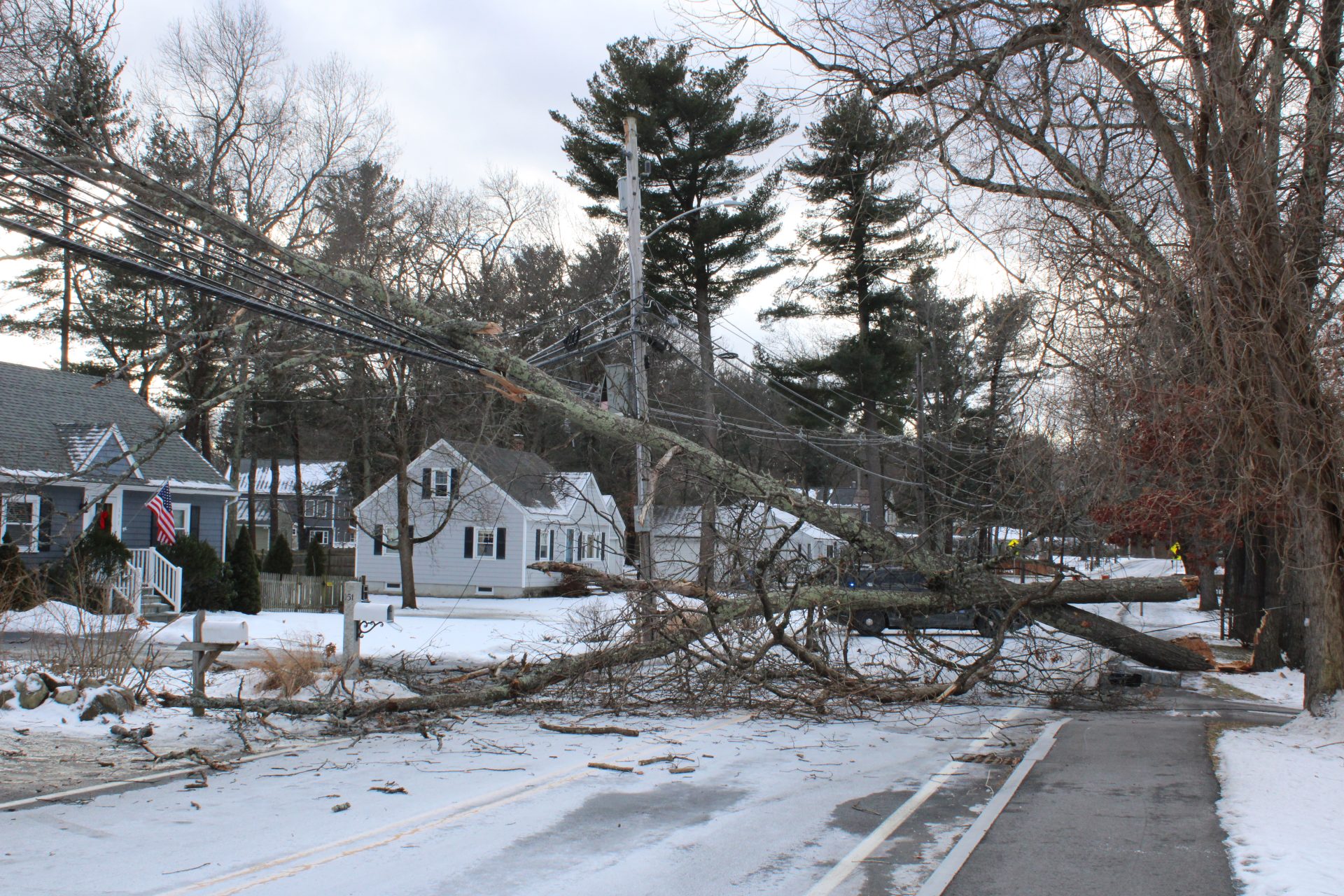 Strong winds take down trees, power lines in Westford - WestfordCAT